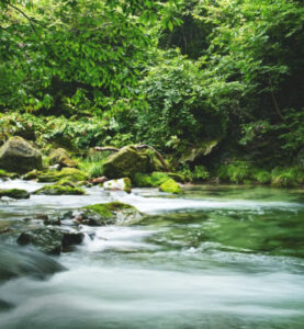 Suntory Toki – A Modern Japanese Blend of Light and Harmony. 5 ...